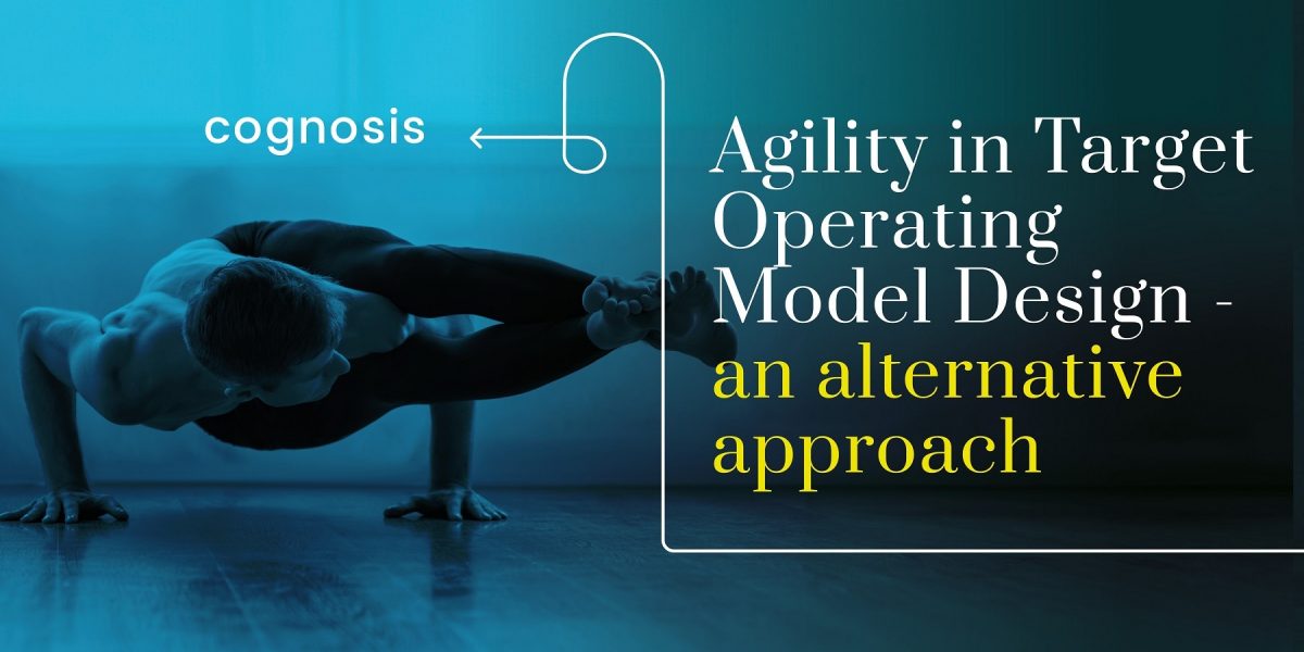 Agility in Target Operating Model Design - an alternative approach