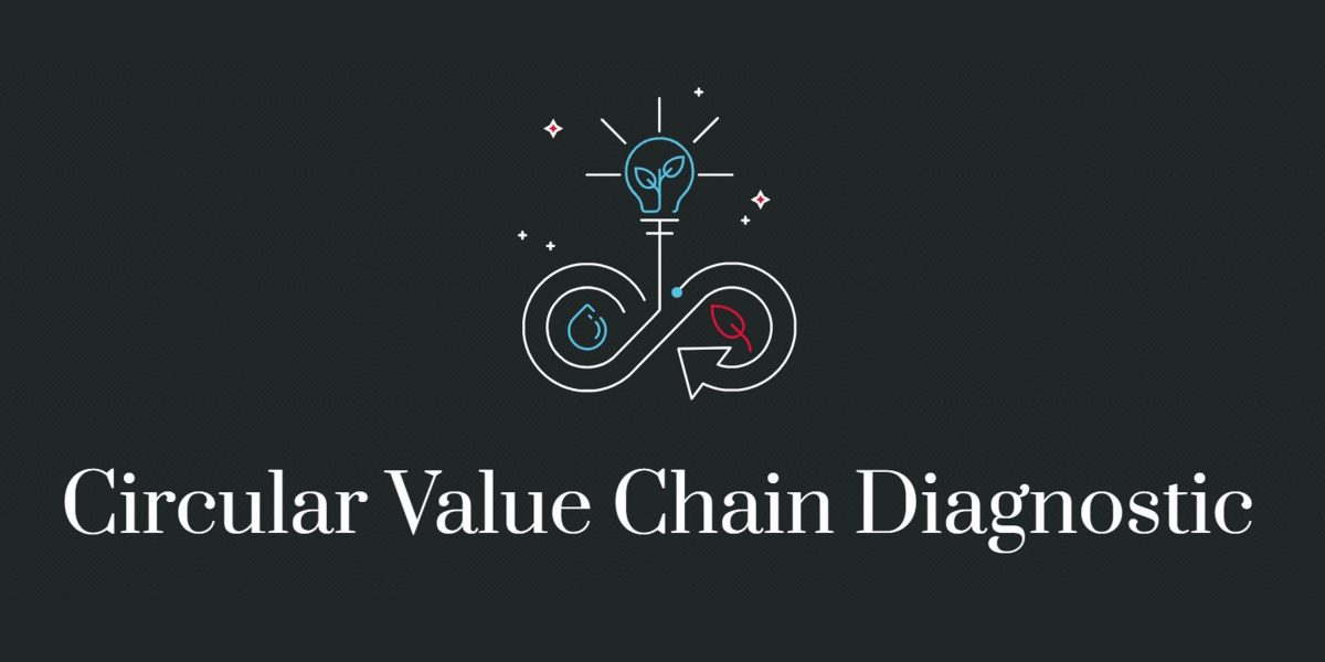 Circular Value Chain Diagnostic | Cognosis